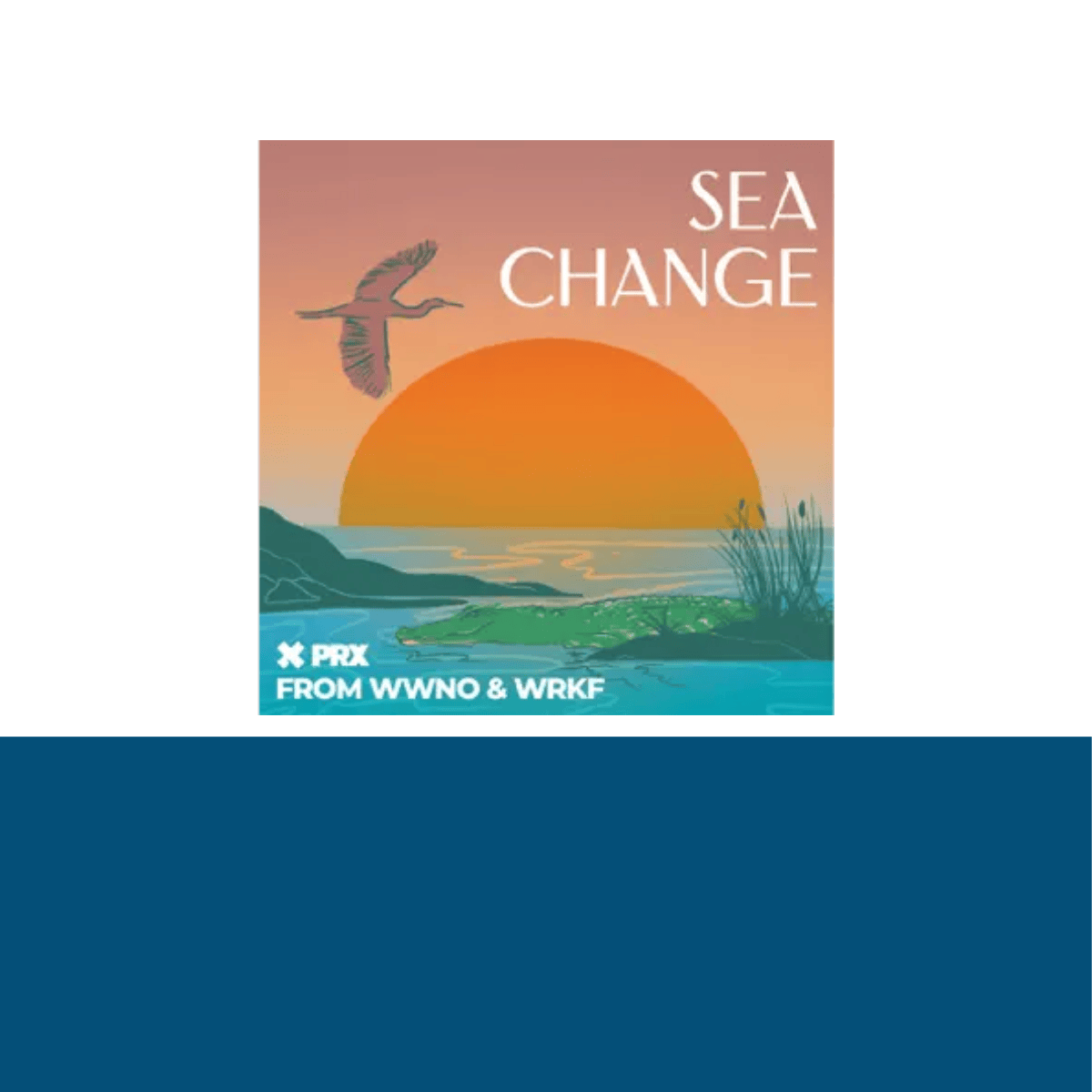 Sea Change Podcast Featuring Eddy Hayes - Leake Andersson